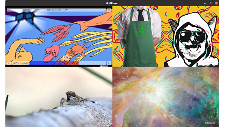 GridPlayer | Flathub