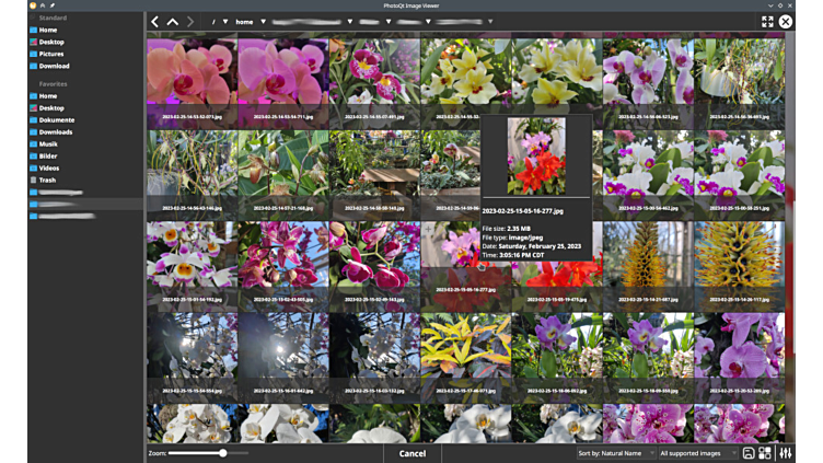 PhotoQt Image Viewer | Flathub