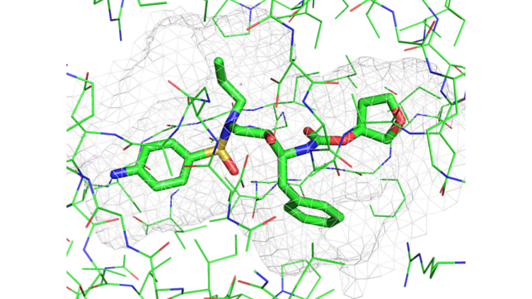 Python Molecular Graphics | Flathub